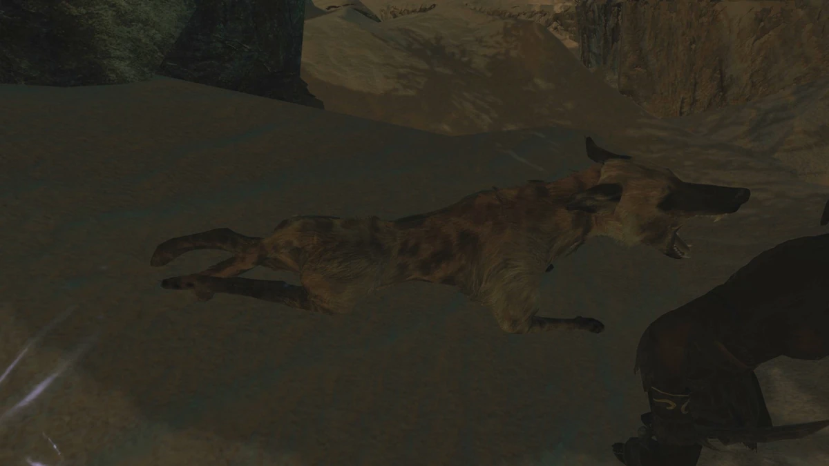 Hyena | Legacy of the Dragonborn | Fandom