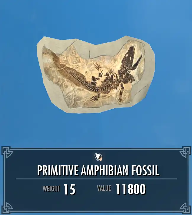 Primitive Amphibian Fossil | Legacy of the Dragonborn | Fandom