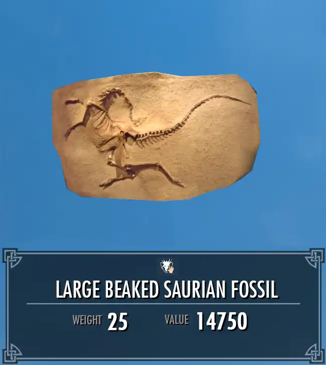 Large Beaked Saurian Fossil Legacy Of The Dragonborn Fandom
