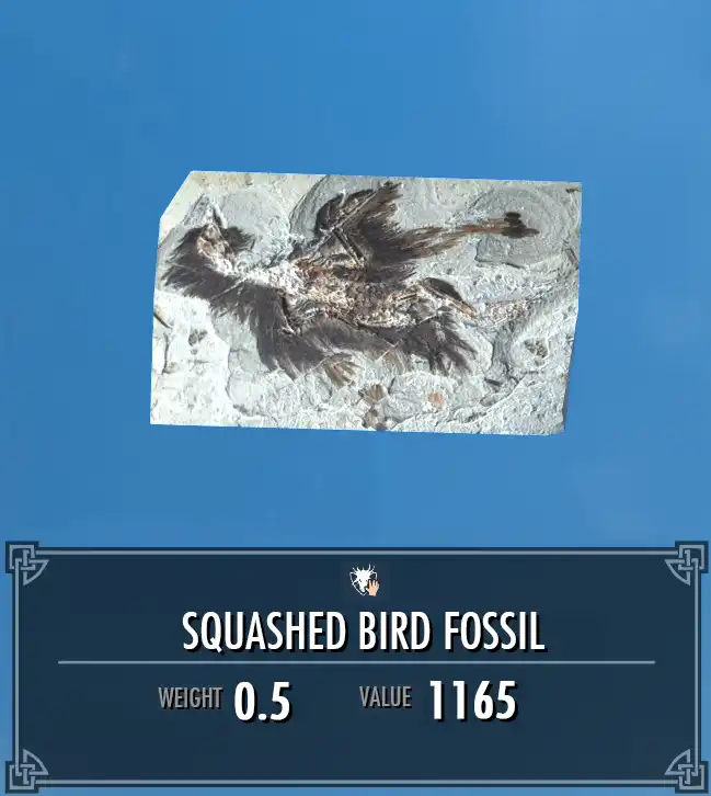 Squashed Bird Fossil | Legacy of the Dragonborn | Fandom