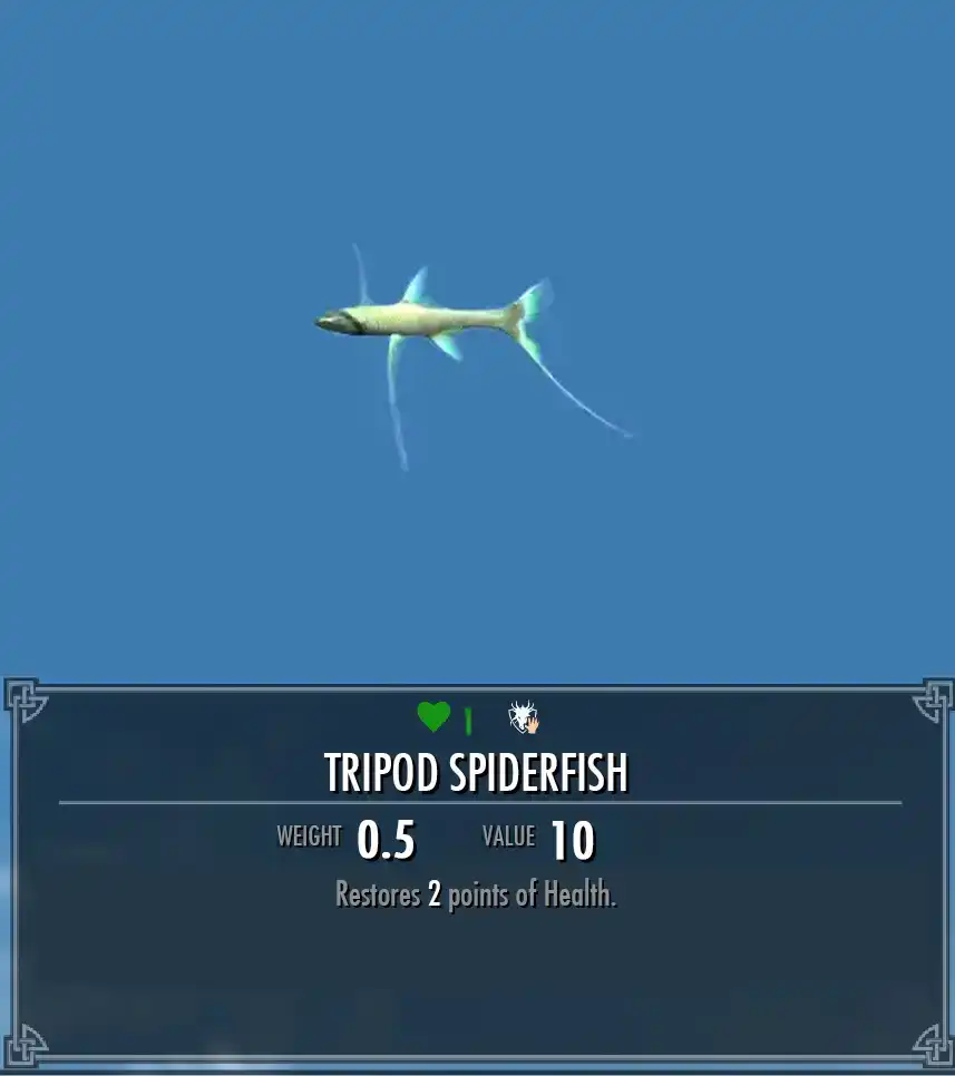 Tripod Fish