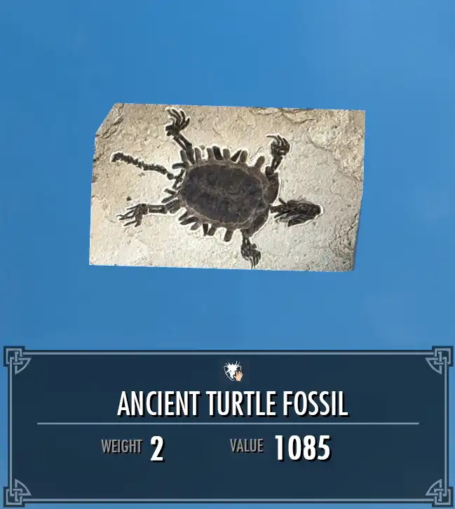 Ancient Turtle Fossil | Legacy of the Dragonborn | Fandom