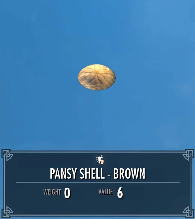 Pansy Shell - Brown | Legacy of the Dragonborn | Fandom