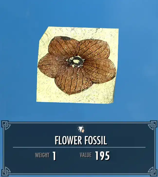 Flower Fossil | Legacy of the Dragonborn | Fandom