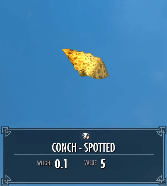 Conch - Spotted | Legacy of the Dragonborn | Fandom