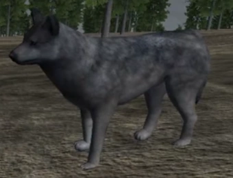 Glen | Legacy of the Moon Wikia | Fandom
