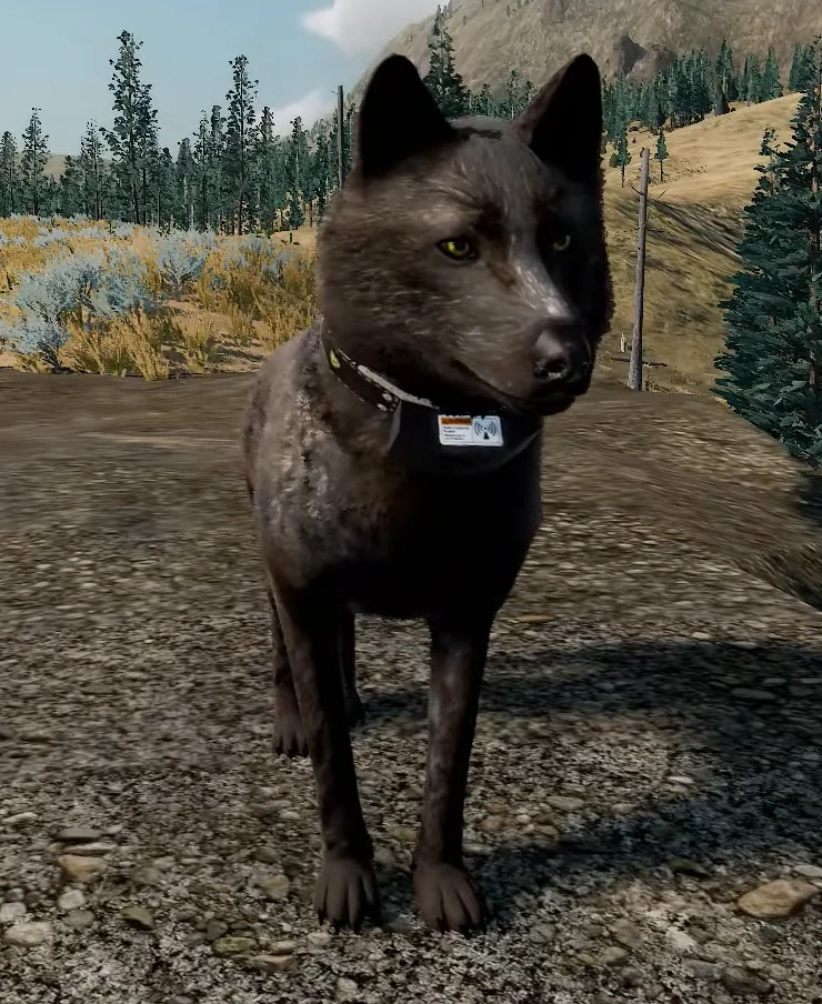 Echo | Legacy of the Moon Wikia | Fandom