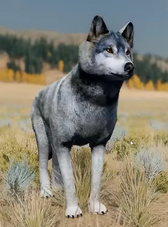 Zephyr II | Legacy of the Moon Wikia | Fandom