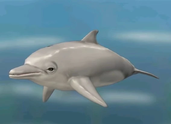 Jet | Legacy of the Moon Wikia | Fandom