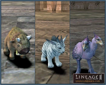 Updates - C4 - Pets and Servitors | Legacy.lineage2 Wiki | Fandom