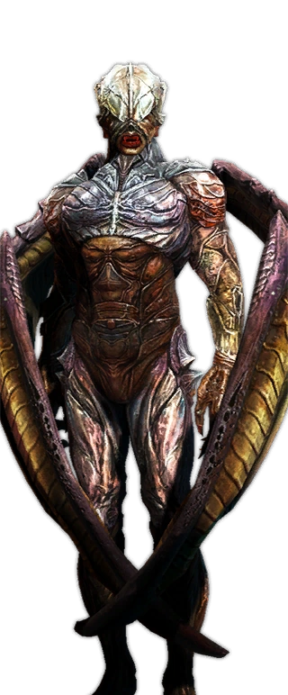 Sentinel's Armor | Legacy of Kain Wiki | Fandom