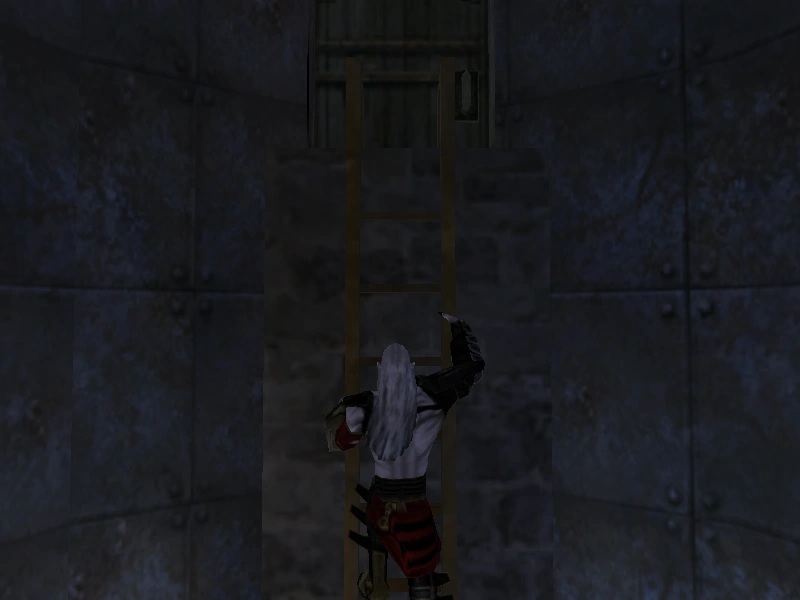 Ladders | Legacy of Kain Wiki | Fandom