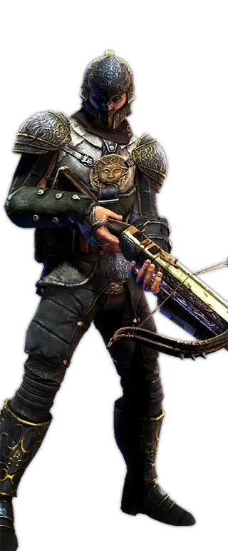 Veteran's Armor | Legacy of Kain Wiki | Fandom