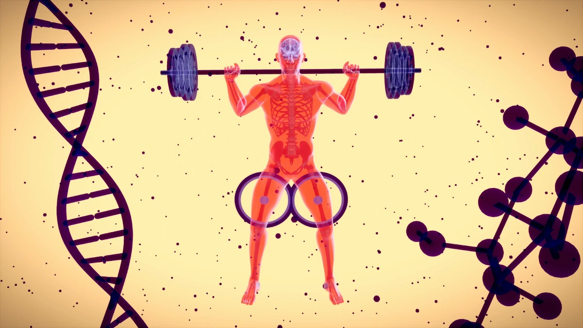 Vampyre Physiology | The Legacy of Sorrow Wiki | Fandom