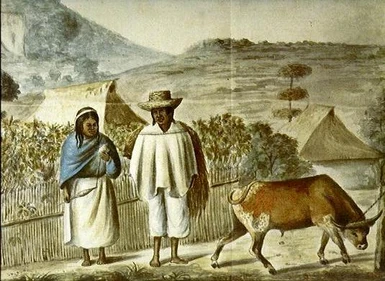 Los Coconuco | Wikia Legados de las Civilizaciones Americanas | Fandom