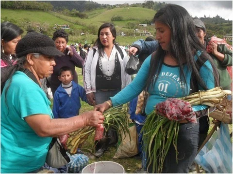 Contexto Político de los Coconuco | Wikia Legados de las Civilizaciones ...
