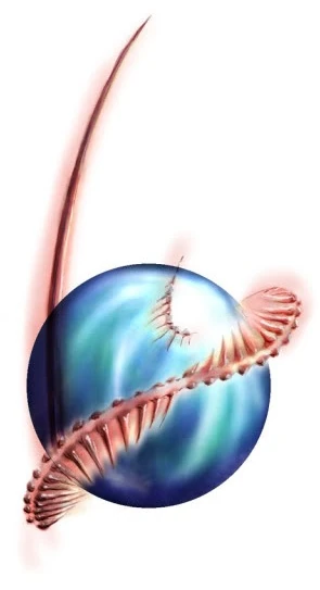 Water (Element) | Legaia Wiki | Fandom