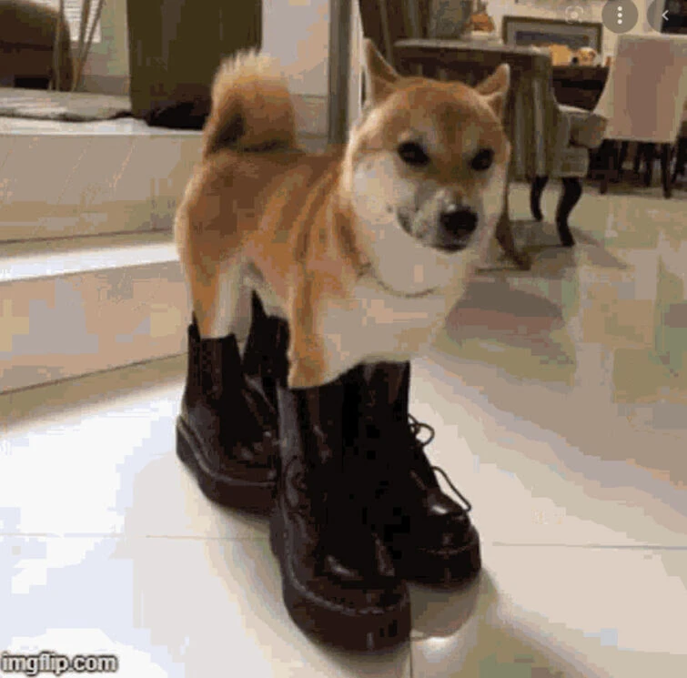 Category:Characters | Legend of Memia Wiki | Fandom