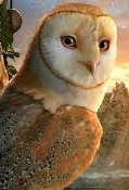 Barn Owl | Legend of the Guardians owls of Gahoole Wiki | Fandom