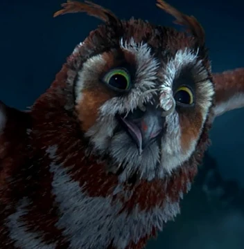 jutt guardians of gahoole coloring pages