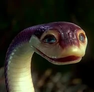 Snakes | Legend of the Guardians owls of Gahoole Wiki | Fandom