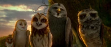 Otulissa | Legend of the Guardians owls of Gahoole Wiki | Fandom