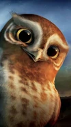 Gylfie/Gallery | Legend of the Guardians owls of Gahoole Wiki | Fandom