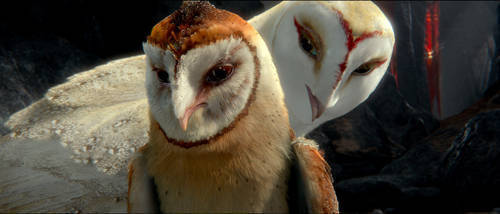 Kluddrelationships Legend Of The Guardians Owls Of Gahoole Wiki Fandom
