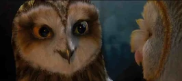 Otulissa | Legend of the Guardians owls of Gahoole Wiki | Fandom