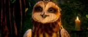 Otulissa | Legend of the Guardians owls of Gahoole Wiki | Fandom