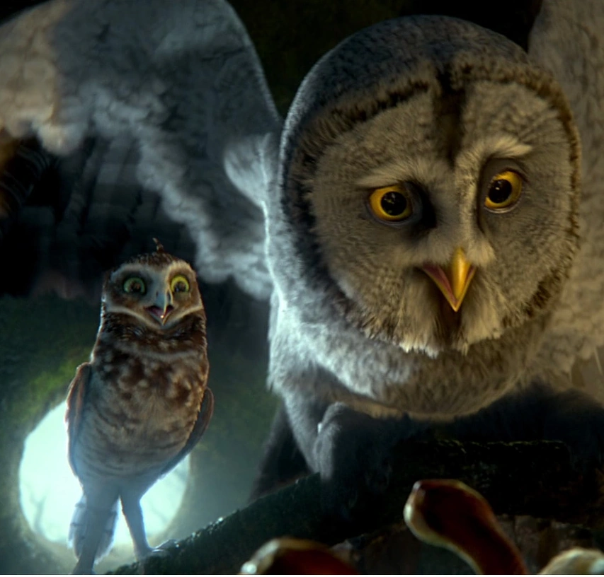 Twilight and Digger | Legend of the Guardians owls of Gahoole Wiki | Fandom