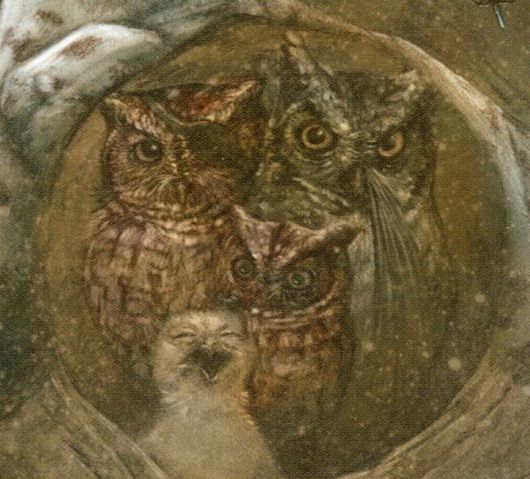 Ezylrybgallery Legend Of The Guardians Owls Of Gahoole Wiki Fandom