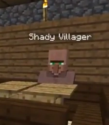 Shady Villager | Legend of the Overlord Wiki | Fandom