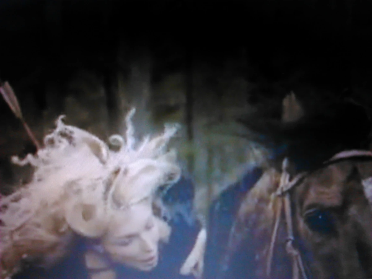 Dennee Amnell | Wiki Legend of the Seeker | Fandom