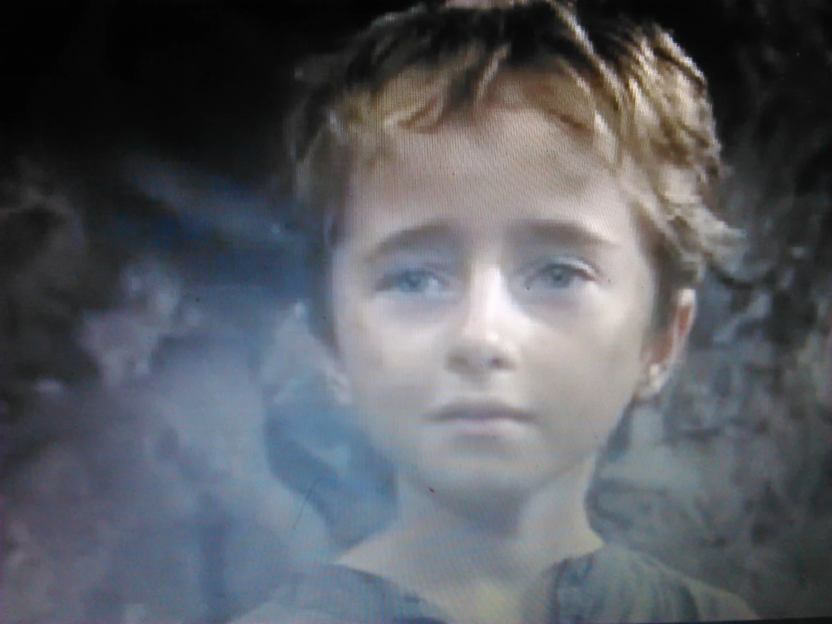 Le Gardien | Wiki Legend of the Seeker | Fandom