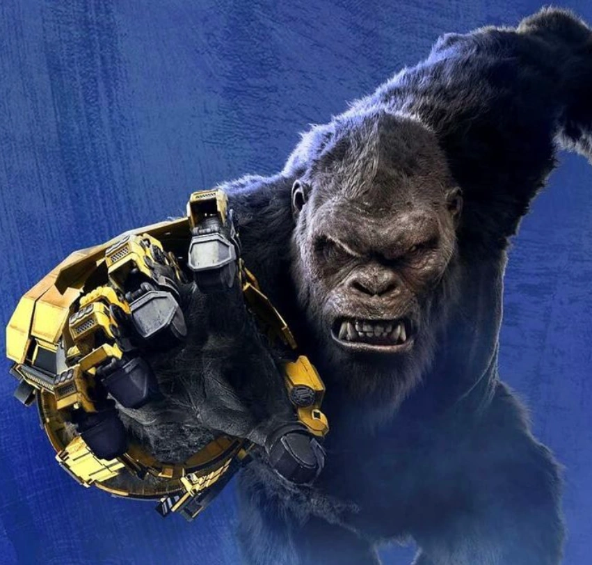 Kong | Wiki Legendary Monsterverse | Fandom