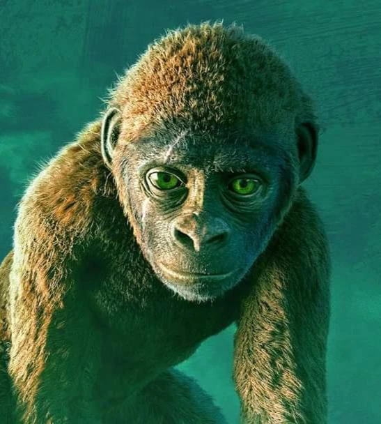 Suko | Wiki Legendary Monsterverse | Fandom