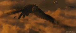 Rodan | Wiki Legendary Monsterverse | Fandom