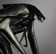 MUTOs | Wiki Legendary Monsterverse | Fandom