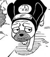 Pakkun | Wiki La Légende du Sharingan de Sasuke Uchiwa | Fandom