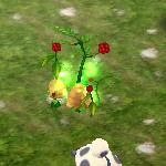 Lisla (harvest item) | Legend of Edda Wiki | Fandom