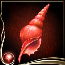 Seashell | Legend of the Cryptids Wiki | Fandom