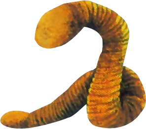 Moldorm | Wiki Legend Of Zelda-Info | Fandom