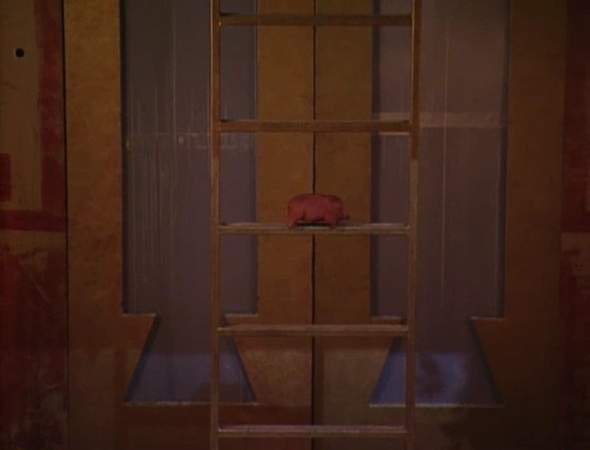 The Lucky Pig of Amelia Earhart | Legends of the Hidden Temple Canon ...