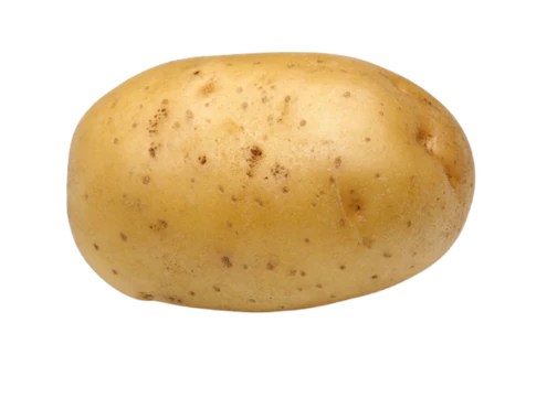 Lord Potato | Legends of the Supracosm Wiki | Fandom