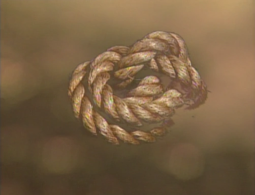 Alexander and the Gordian Knot/Gallery | Legends of the Hidden Temple ...