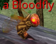 A Bloodfly | LegendsOfOld Wiki | Fandom