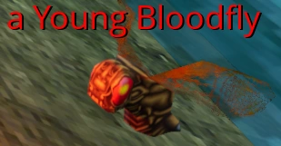 A Young Bloodfly | LegendsOfOld Wiki | Fandom