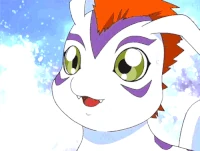 Gomamon | Legends of the Multi Universe Wiki | Fandom