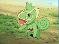 Kecleon | Legends of the Multi Universe Wiki | Fandom
